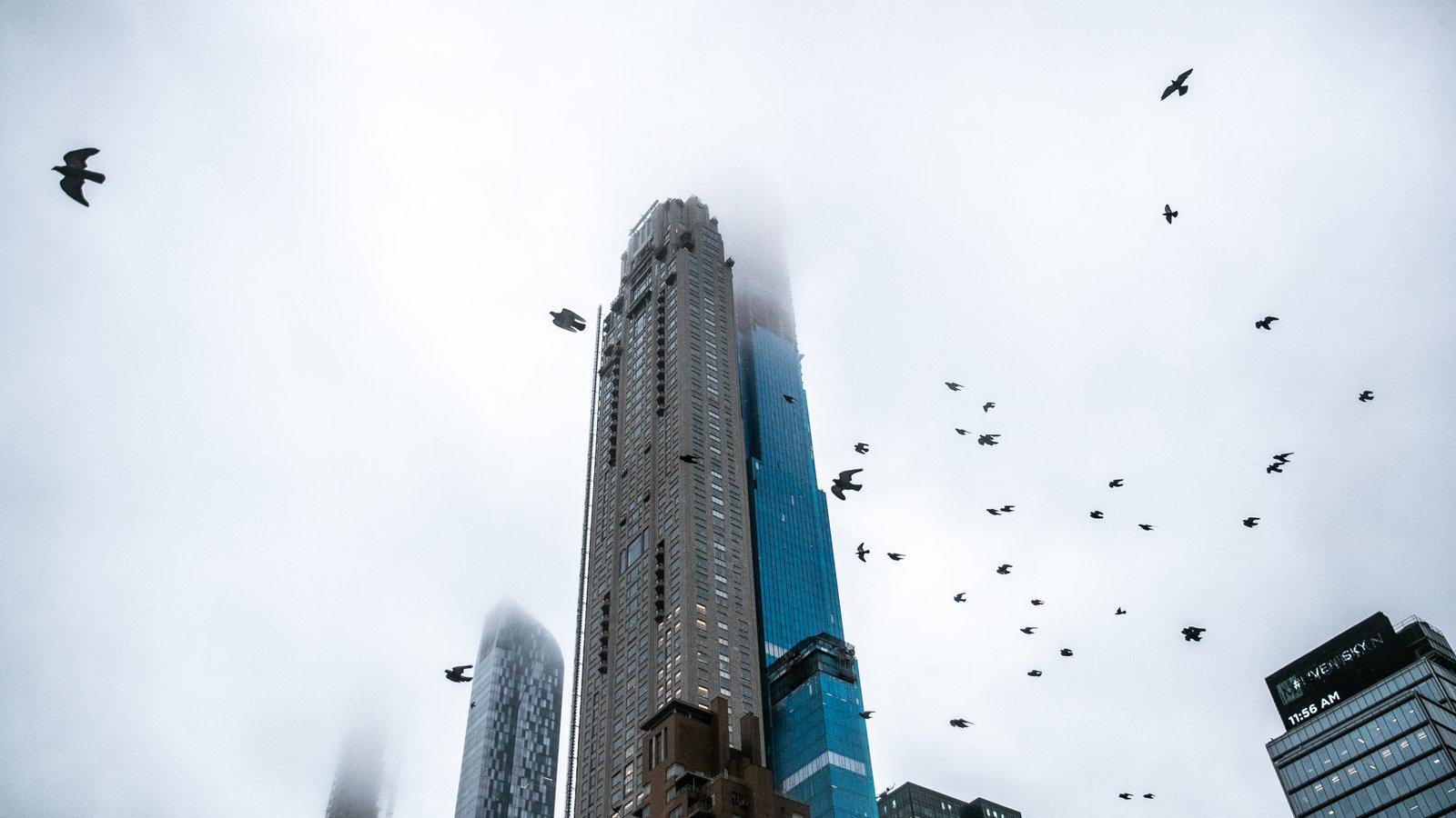 Orlando Magic’s $238M Star Trade Unites Paolo Banchero & Franz Wagner ...